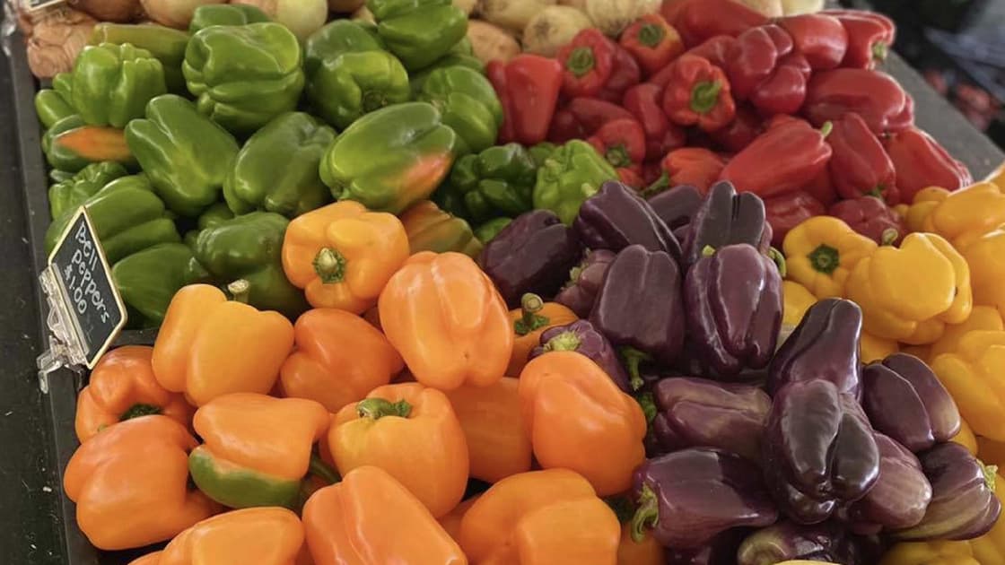 PayPal Point of Sale simplifies checkout for this busy family farmstand ...