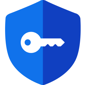Secure Paypal Icon