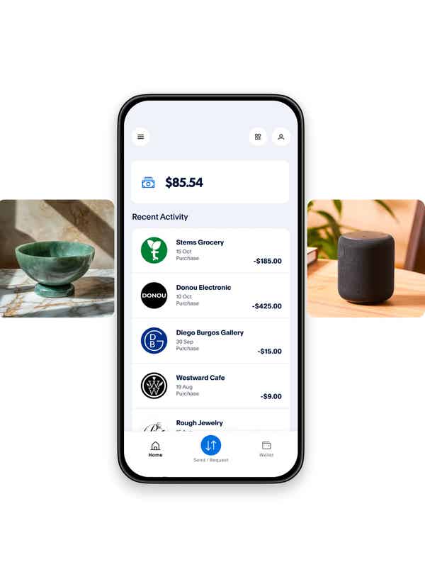 Manage Your Money Online with Our Digital Wallet | PayPal NO