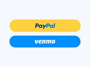 pay button paypal