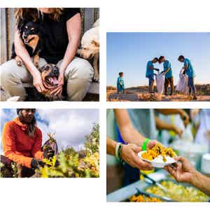 donations through paypal