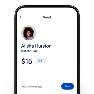 Send Money Online | Transfer Money Online Fast | PayPal US