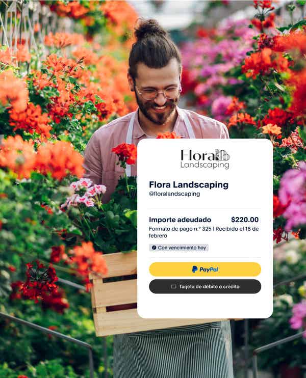 Formatos de pago | Crear y enviar facturas personalizadas | PayPal MX