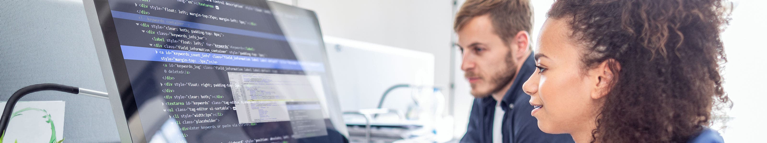 PayPal Developer SignUp